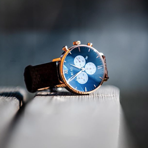 Shop BERG watches collections – Berg Watches